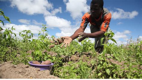 Stakeholders Canvass Improvement In Agric Commodity Value Chain