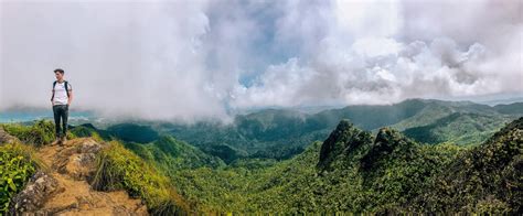 Hiking In El Yunque Momoko Blog