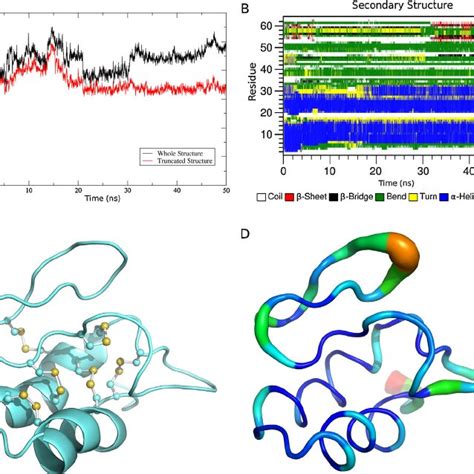 Molecular Dynamics Simulation Results A The Backbones Root Mean