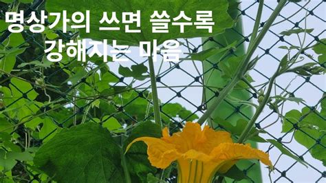 쓰면 쓸수록 강해지는 마음 Youtube