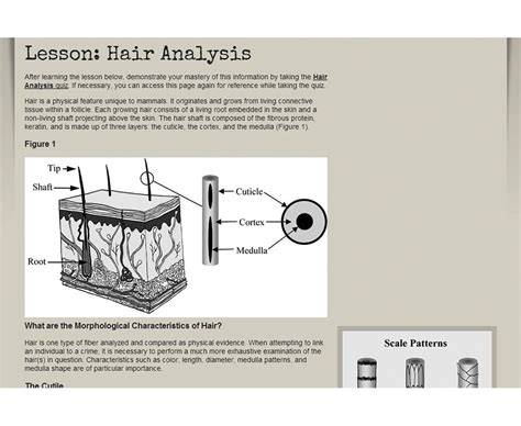 Murder At Old Fields® Online Forensic Science Labs Small Class Pack