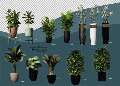 Premium Psd 3d Render Plant Pots For Decoration Varieties Of Houses
