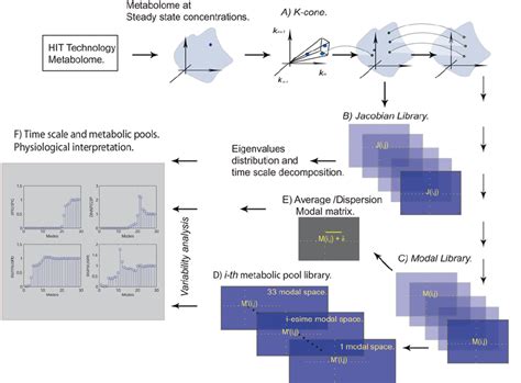 General Overview A Based On Metabolome Data And Reconstructed