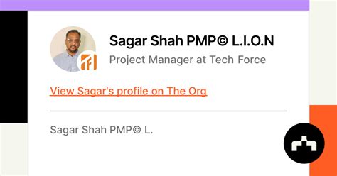 Sagar Shah Pmp© Lion Project Manager At Tech Force The Org