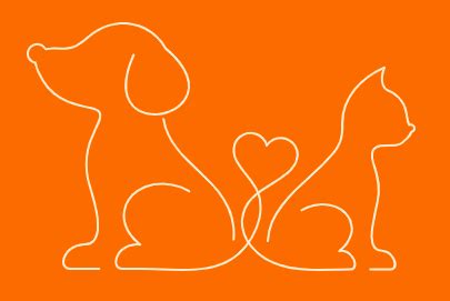 Interactive Dashboards Best Friends Animal Societys Pet Lifesaving