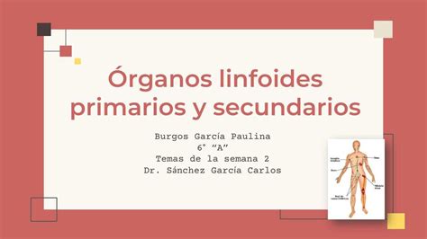 File Luis Eduardo UDocz