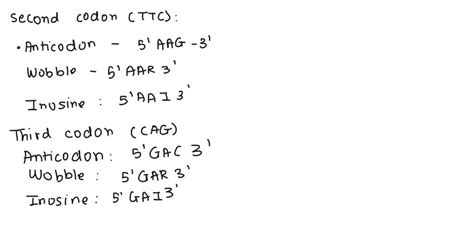 Solved You Have The Following Dna Coding Sequence Of A Wild Type Allele 5 Atg Ttc Cag Cta Gat
