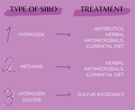 Different Types Of Sibo Rsibo