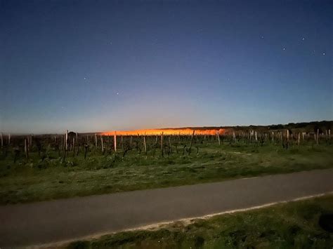 Florian Wigt Posted On Linkedin