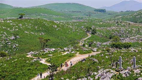 Akiyoshidai Plateau And Akiyoshido Cave Travel Guide