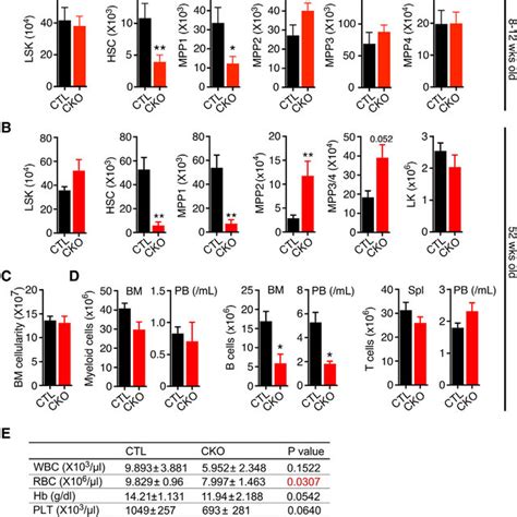 Cited2 Is Required For The Maintenance Of The Hsc Pool And Its Download Scientific Diagram