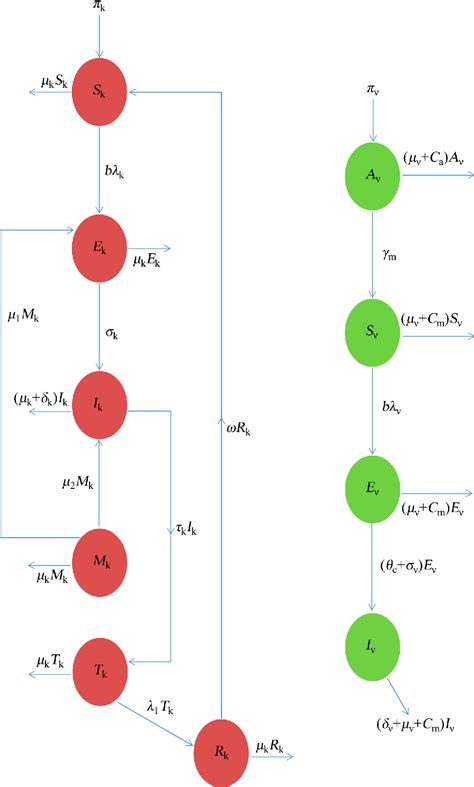Figure 1 From Qualitative Analysis Of A Dengue Fever Model Semantic Scholar