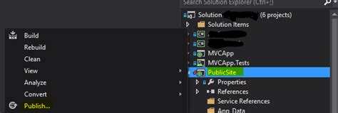 iis publish project to remote iis with web deploy