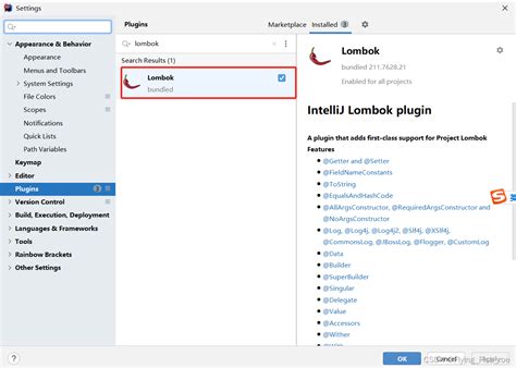 Lombok：java开发中的代码简化神器：注解、应用场景与配置 Csdn博客