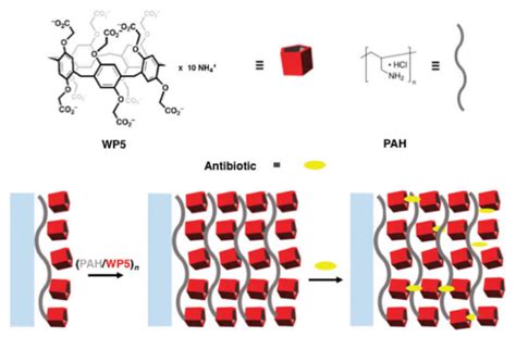 Schematic Representation Of A The Construction Of Supramolecular