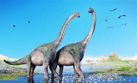 How Did Dinosaurs Have Sex And Reproduce Fossils Offer Clues