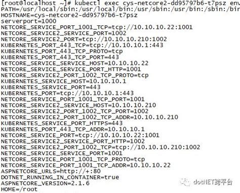 Net Core上 K8s 七 Netcore程序的服务发现 搜狐大视野 搜狐新闻