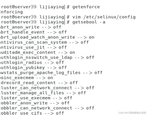 selinux csdn博客