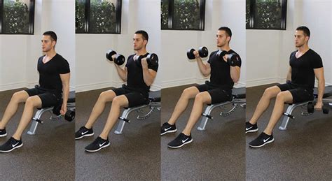 Zottman Curl The Optimal You Online Personal Trainers And Holistic