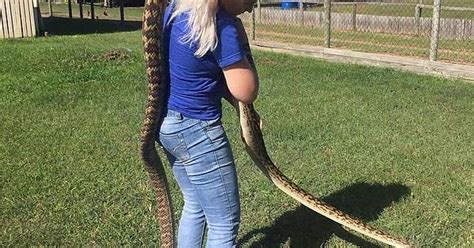 Scrub Python Album On Imgur