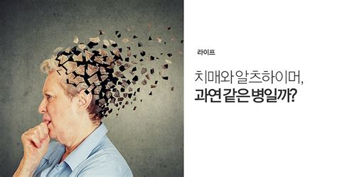 치매와 알츠하이머의 차이부터 발병원인까지 알아보기