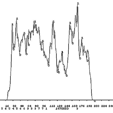 3 a typical gray level histogram download scientific diagram