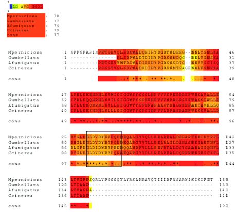 alignment of the sequences of the chitinase gene products of m