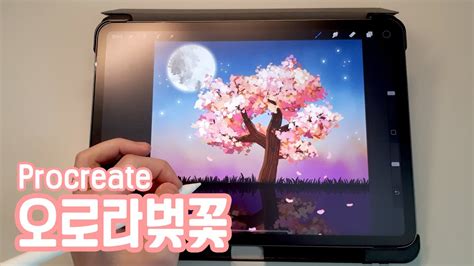 🌸벚꽃🌸 쉽게 그리기 아이패드 드로잉 Youtube