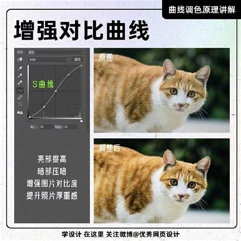 九张图带你快速搞懂曲线调色。 九张图带你快速搞懂曲线调色。