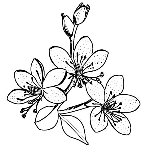 Cheryl Blossom Coloring Pages 2025 Cheryl Blossom Coloring Pages 2025
