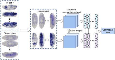 Github Yyhemichmiggri