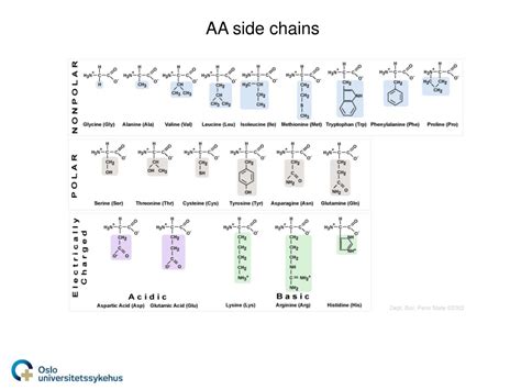 Ppt Introduction To Protein Chemistry Powerpoint Presentation Free