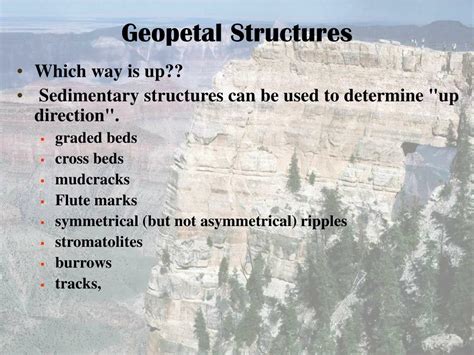 Ppt The Sedimentary Archives Powerpoint Presentation Free Download