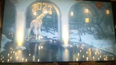 Новогодние заставки Первого Канала жираф и белки С Наступающим новым годом 2023 51 Youtube