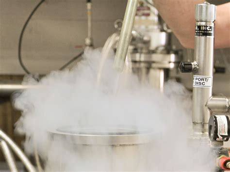 How Nitrogen Gas Execution Works Knowledge News News9live