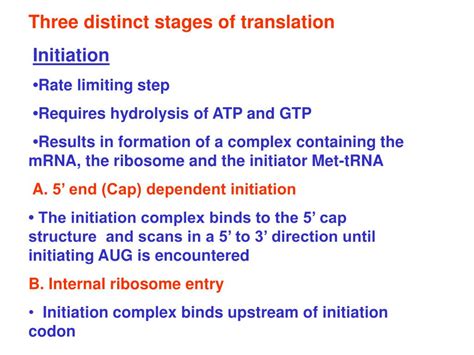 Ppt Eukaryotic Mrna Transcripts Are Processed Powerpoint Presentation