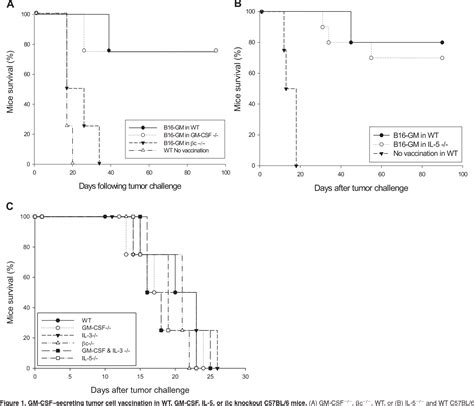 Figure 1 From Role Of Gm Csf Signaling In Cell Based Tumor Immunization Semantic Scholar