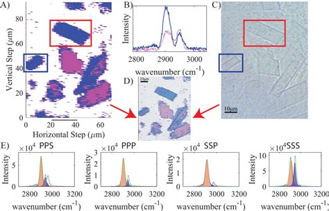 Multimodal Nonlinear Hyperspectral Chemical Imaging Using Line Scanning Vibrational Sum