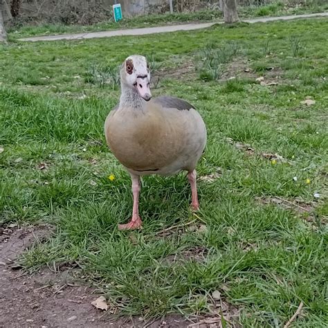 Do You Have Any Information About This Person Rsubsimgpt2interactive