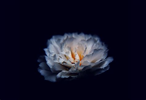 Theta Bootstrap Laravel Admin Dashboard Template