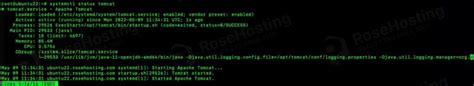 How To Install Tomcat On Ubuntu 22 04 Rosehosting