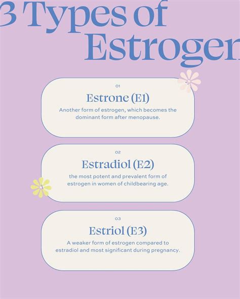 Fernnaturopath We Often Talk About Estrogen As One Of The Female