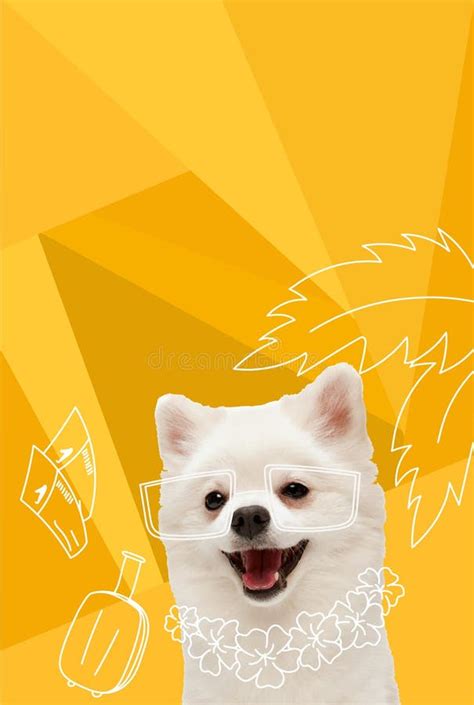 Contemporary Artwork Vector Illustration White Cute Furry Spitz In