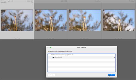 Importing Canon Raw Burst Mode Files Into Lightroom Classic Lightroom