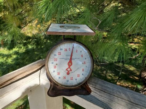Antique 25 Lb Kitchen Scale With Red And Blue Face 1912 Etsy