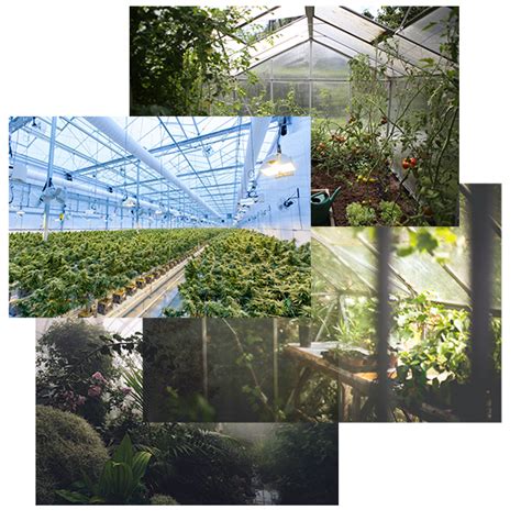 تلاونگ اردبیل