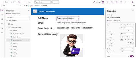 what is powerapps user function and what s the purpose of it with