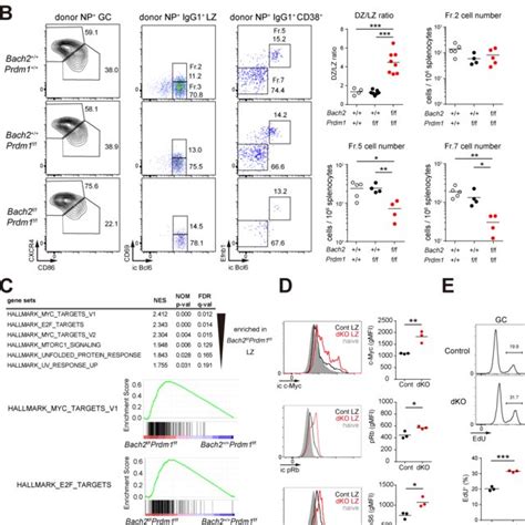 Heatmap Analysis Of Rna Seq Data A Heatmap Illustrating The Top 50