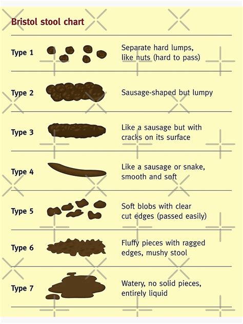 Bristol Stool Chart Printable Version