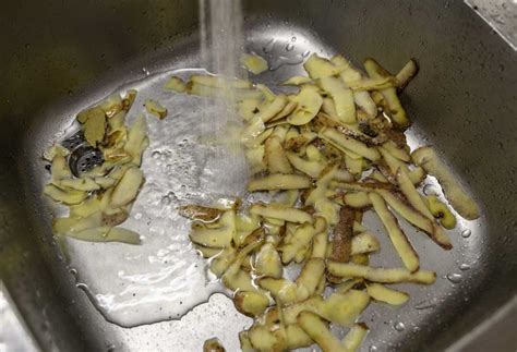 How To Fix A Garbage Disposal Clog Shiny Modern